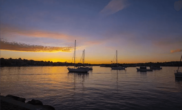 Balmain marina with rare adjoining freehold land for sale publicly for ...