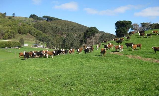 Six small farms for that tree change you've always dreamed about