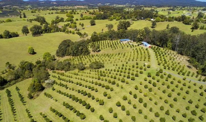 Six small farms for that tree change you've always dreamed about