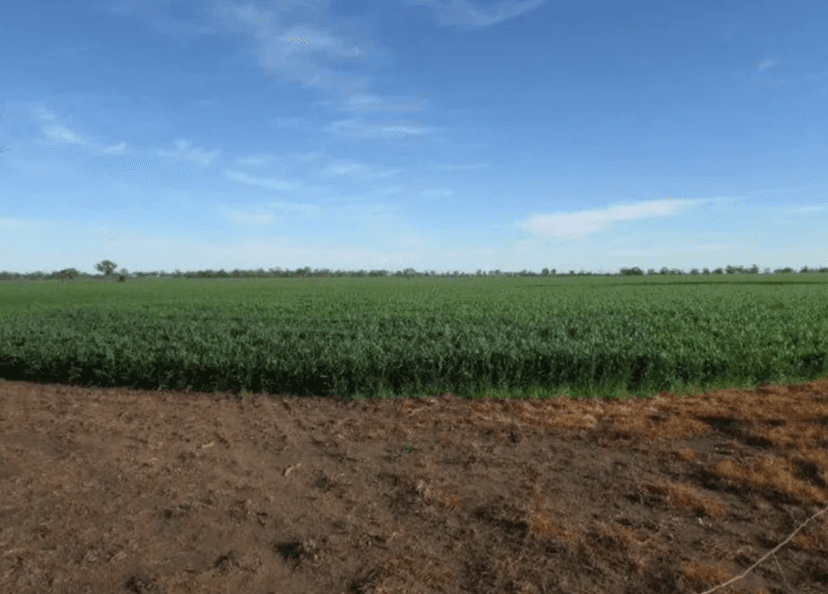 5 cheap rural blocks of land on the market right now