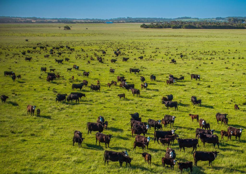 Iconic South Gippsland farming estate Tullaree hits public market for ...