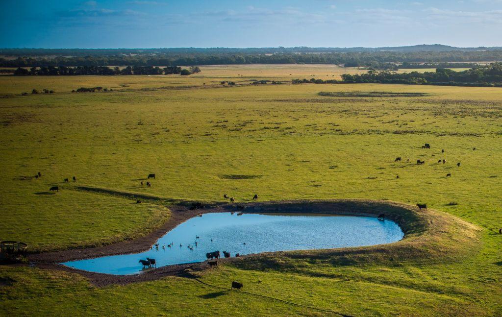 Iconic South Gippsland farming estate Tullaree hits public market for ...